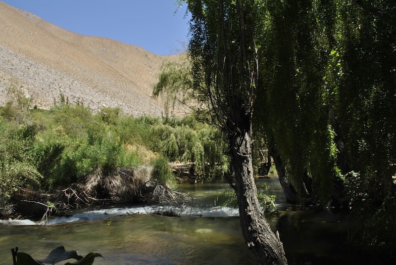 Camping Río Mágico | Directorio Turístico del Valle de elqui