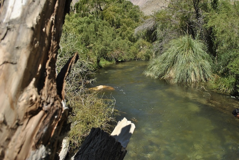 Camping Río Mágico | Directorio Turístico del Valle de elqui